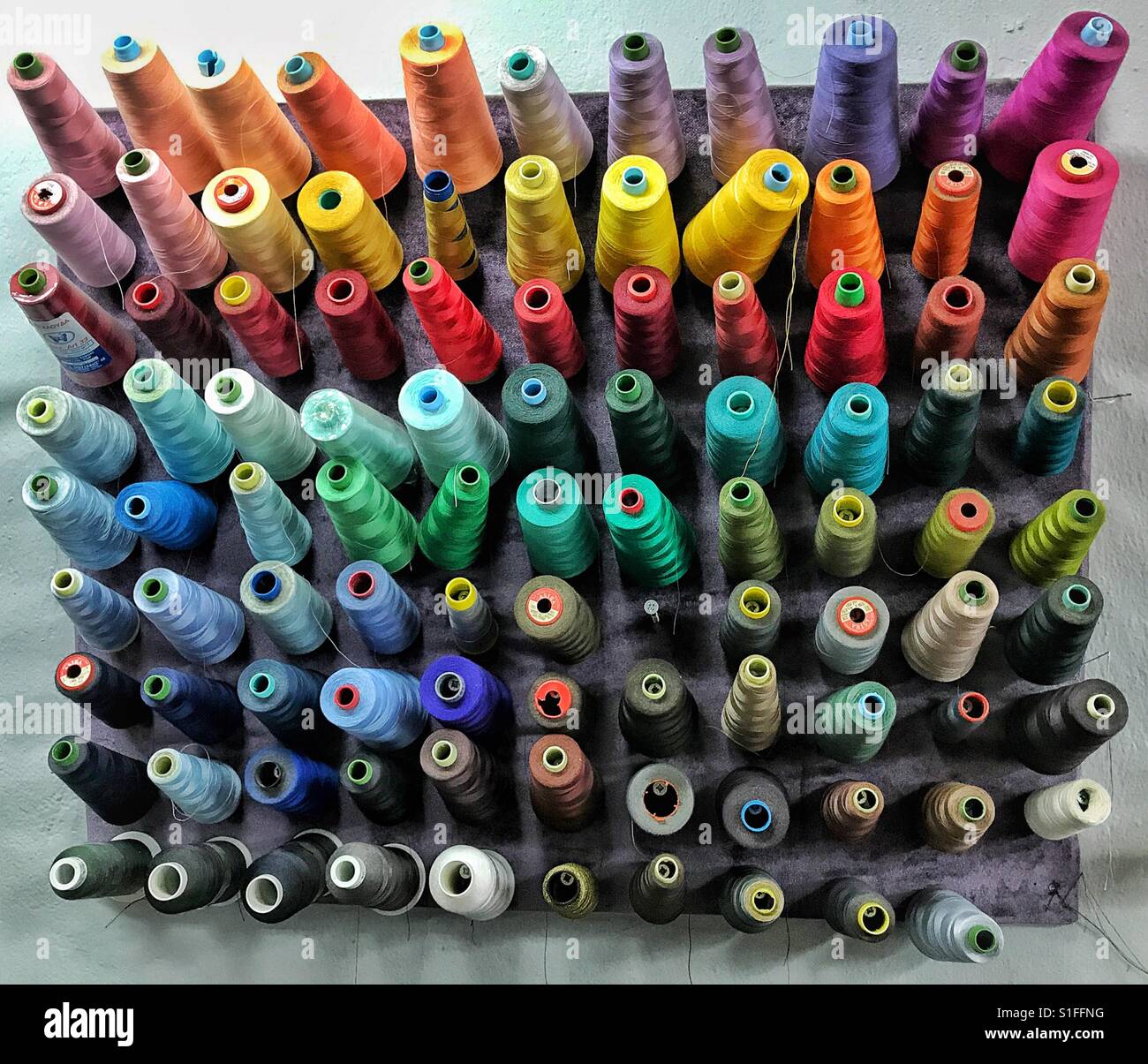 Thread board, full view Stock Photo - Alamy