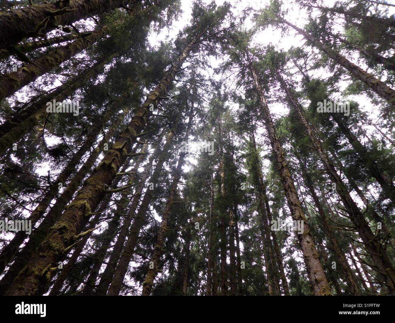 Bugs Eye View Stock Photos & Bugs Eye View Stock Images - Alamy