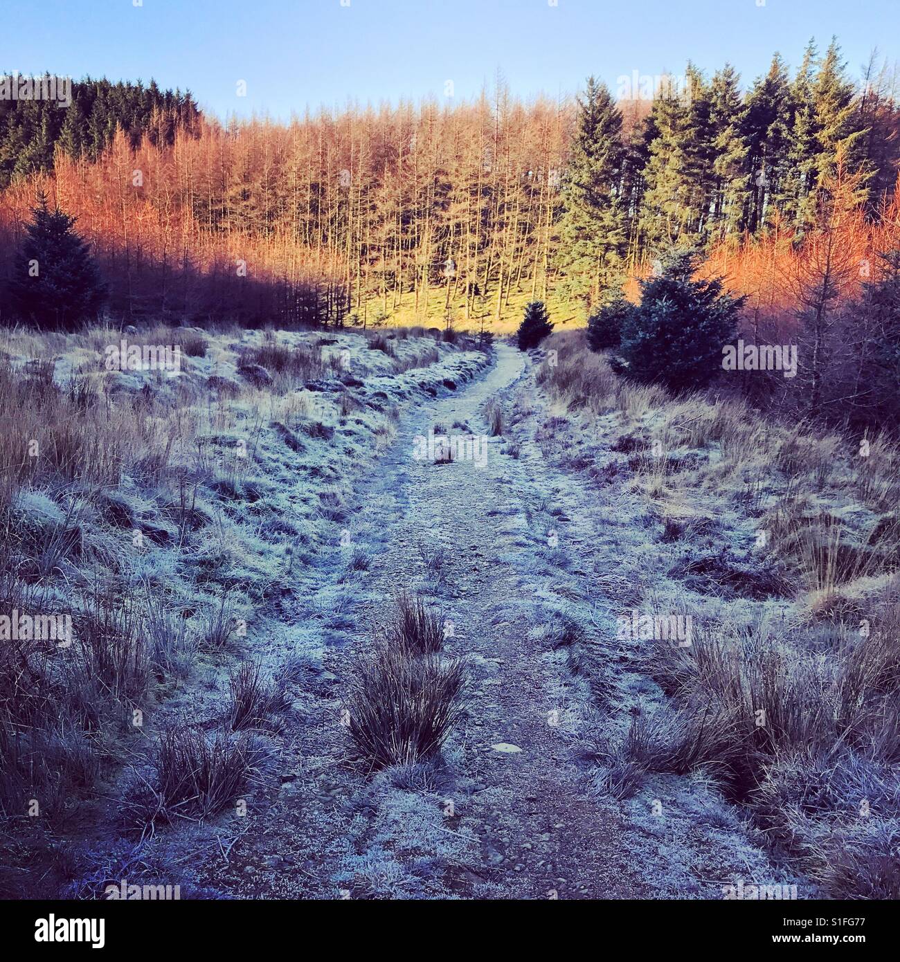 Morning comes hi-res stock photography and images - Alamy