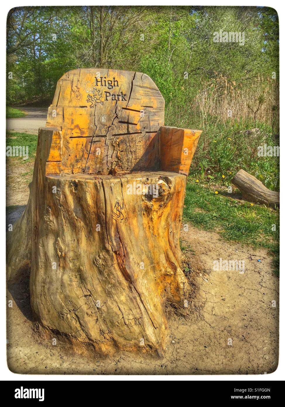 Carved tree trunk hi-res stock photography and images - Alamy