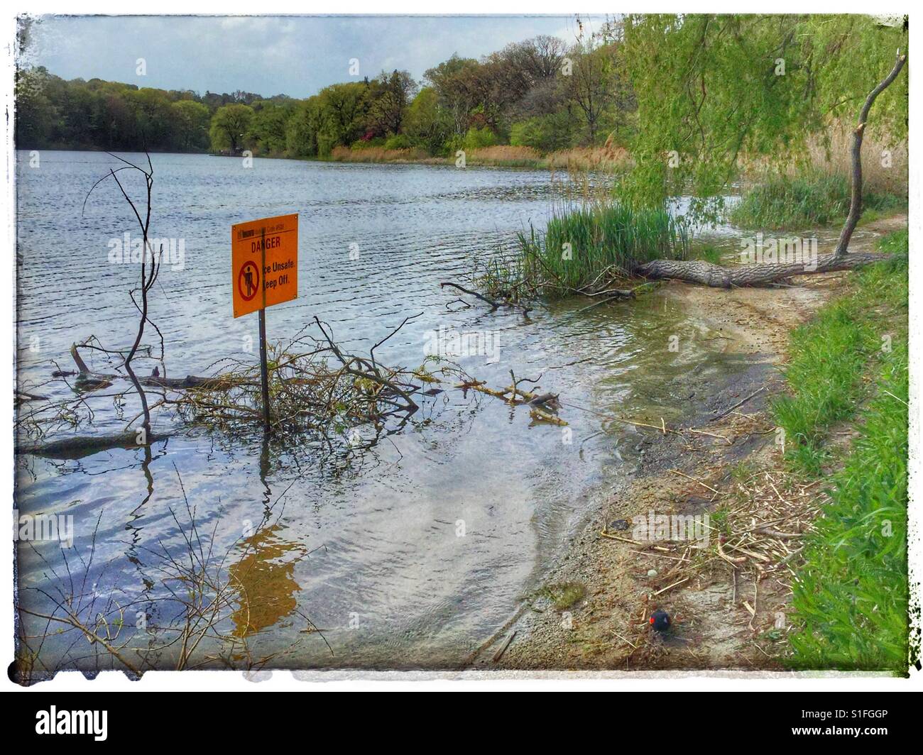 Grenadier Pond in High Park, Toronto Stock Photo - Alamy