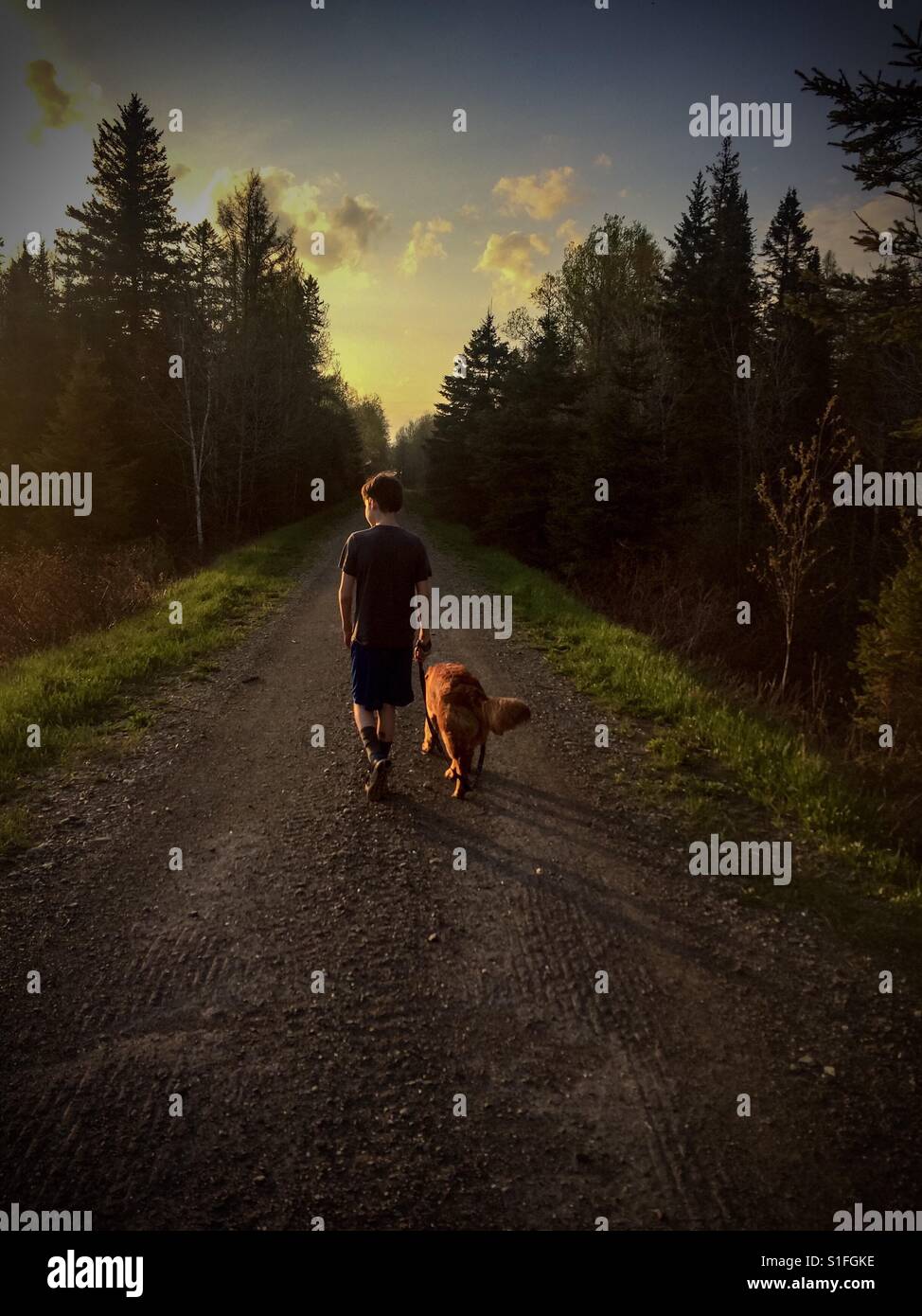Boys best friend hi-res stock photography and images - Alamy