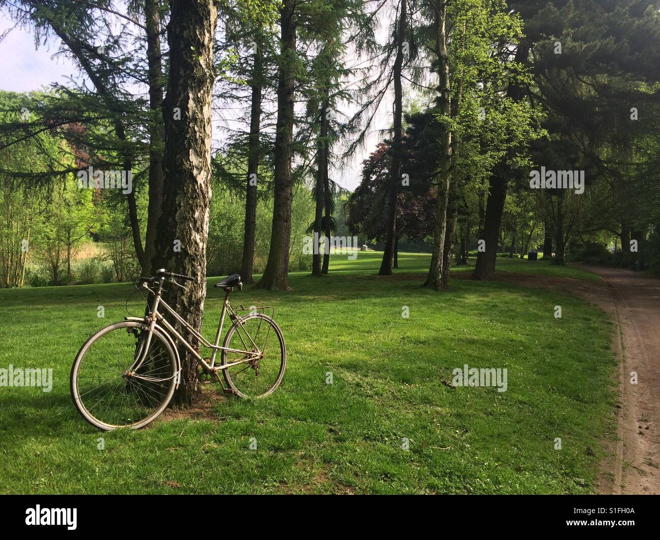 Bicycle leaning against tree in hi-res stock photography and images - Alamy