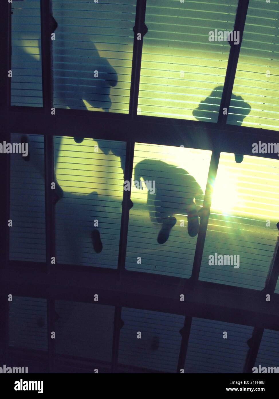 People walking on translucent soil Stock Photo - Alamy