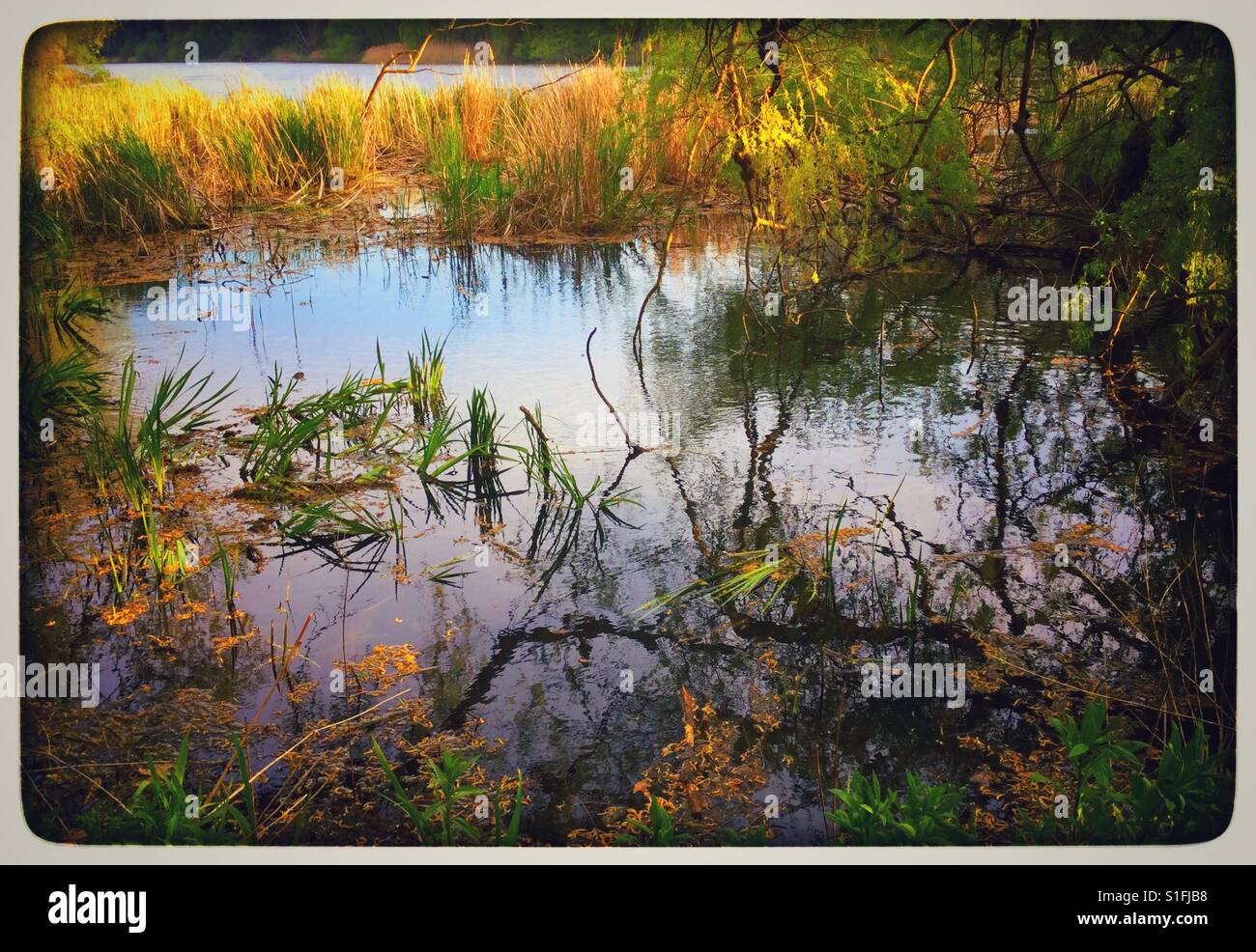 Warm glow of sun hi-res stock photography and images - Alamy