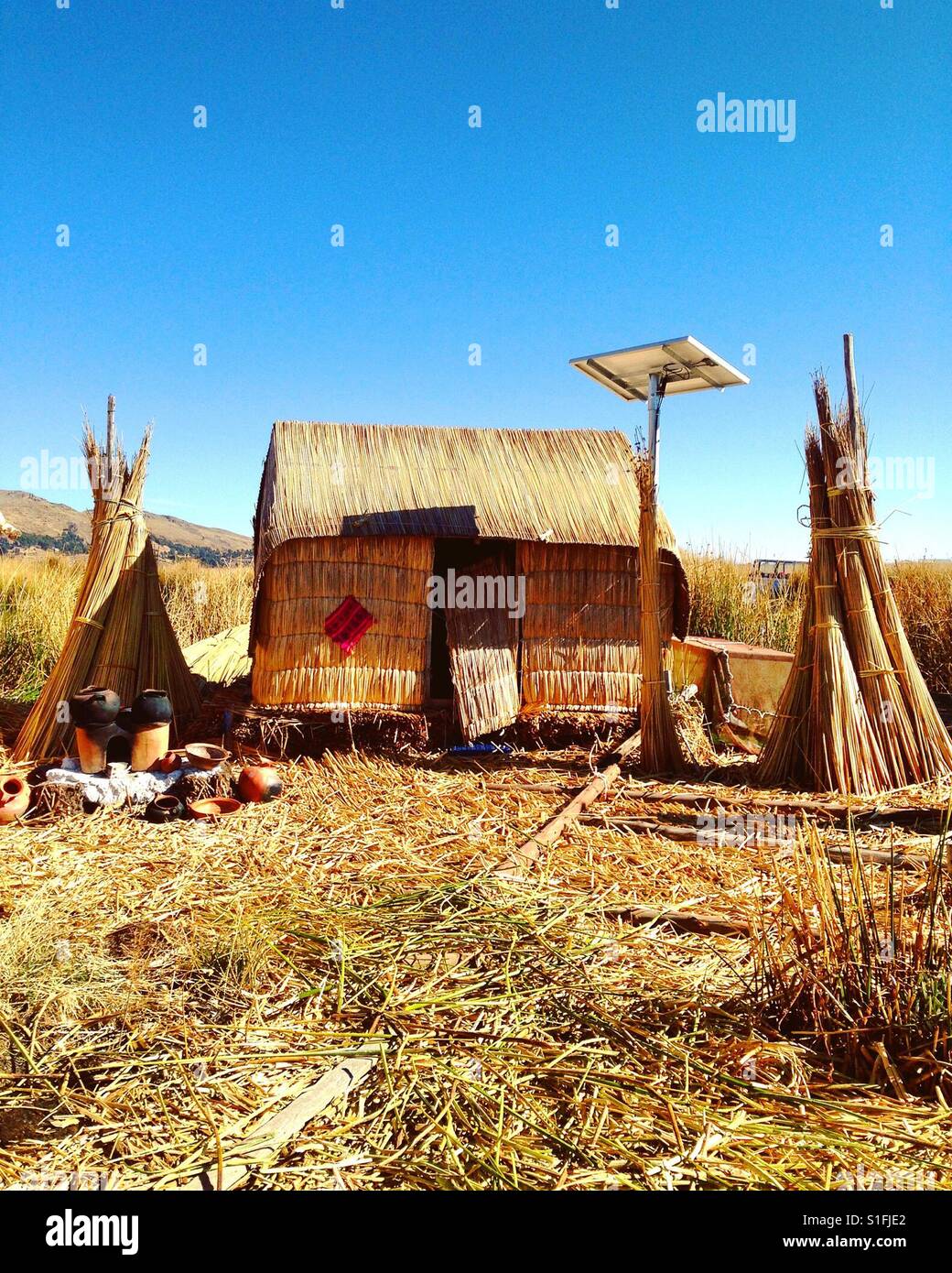 Floating reed hi-res stock photography and images - Alamy