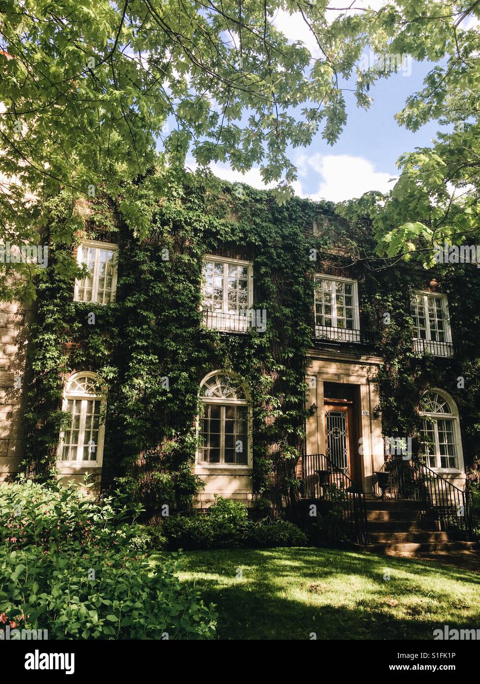 House ivy hi-res stock photography and images - Alamy