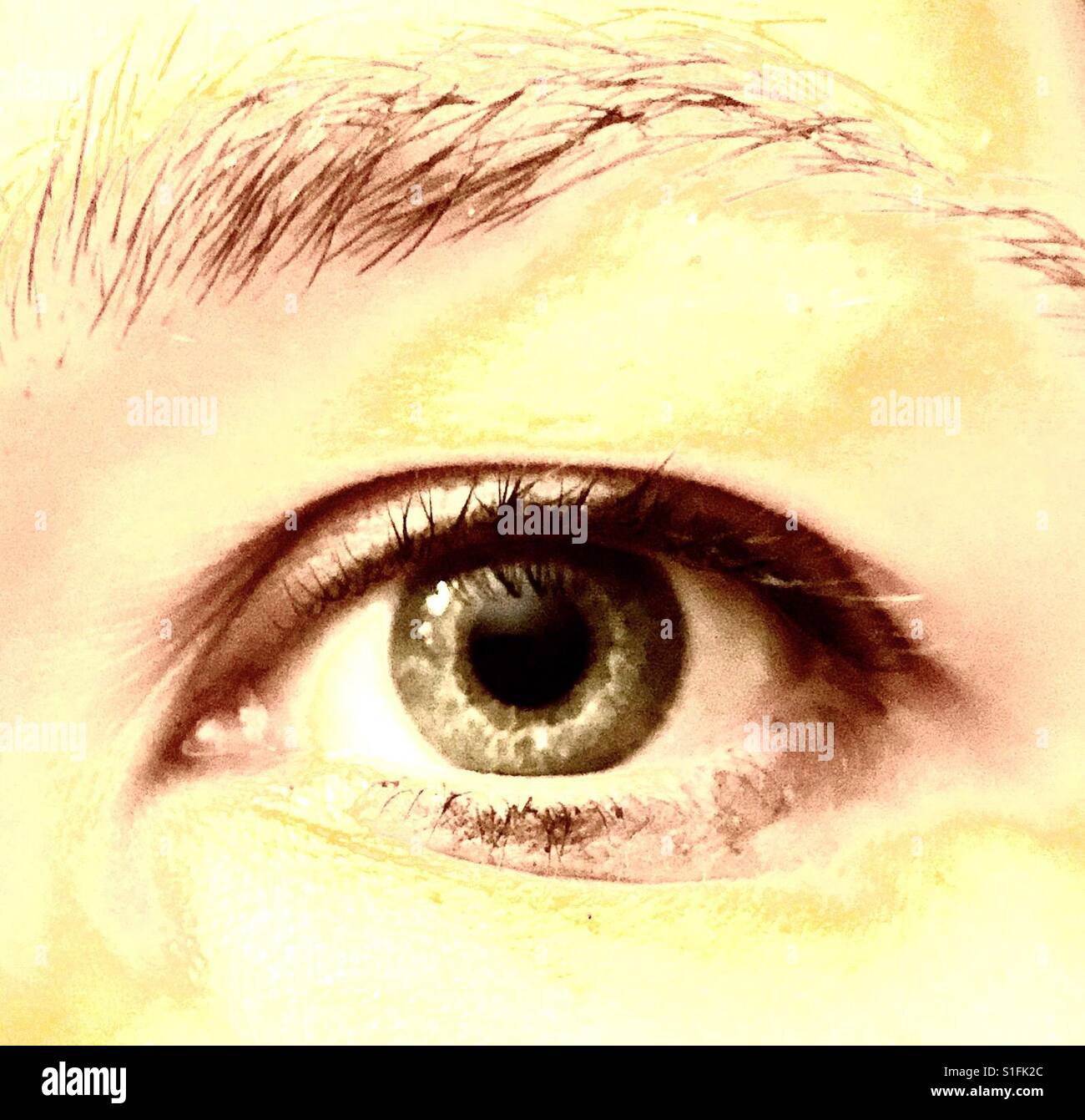 Eye of the beholder hi-res stock photography and images - Alamy