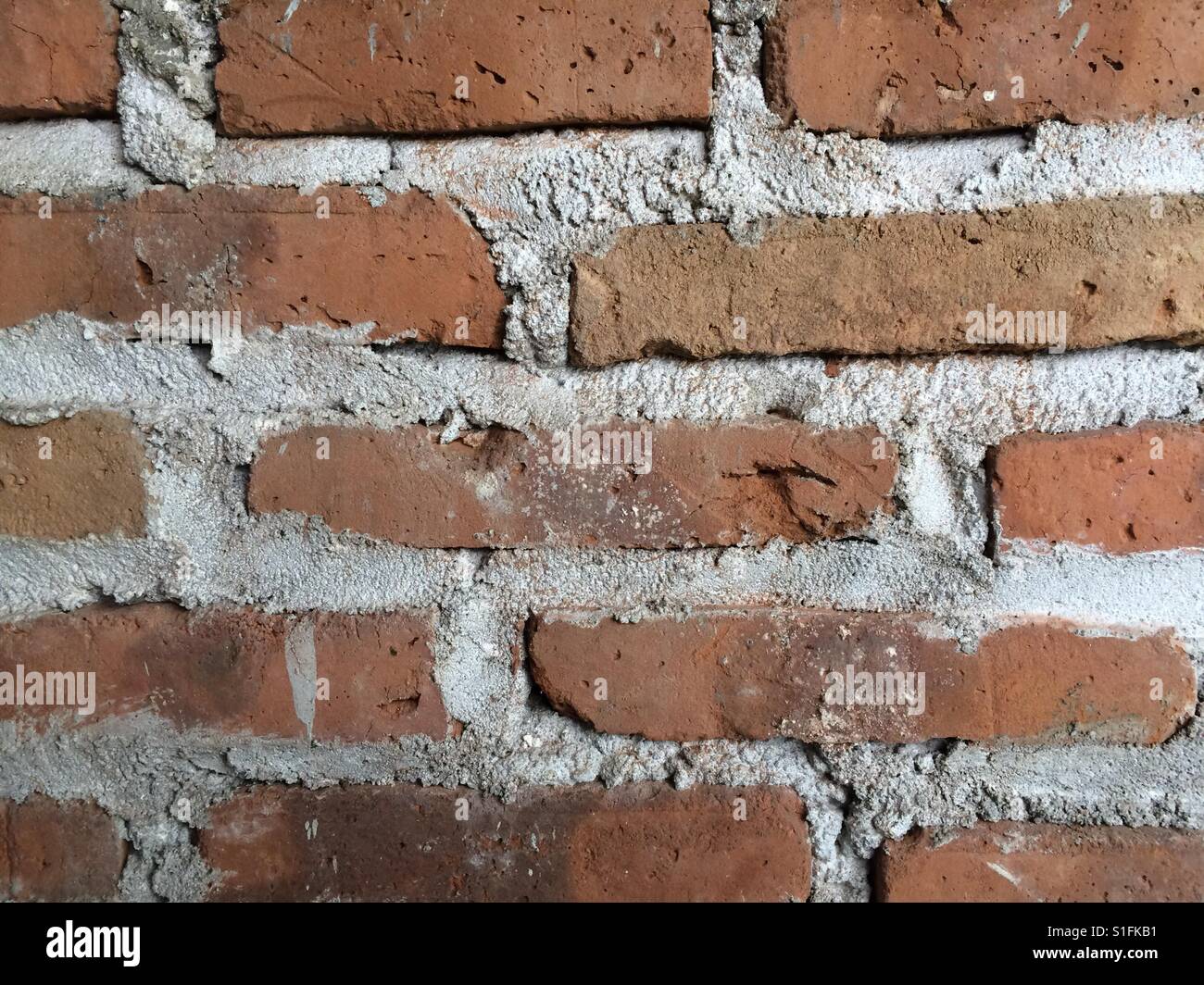 Build wall hi-res stock photography and images - Alamy