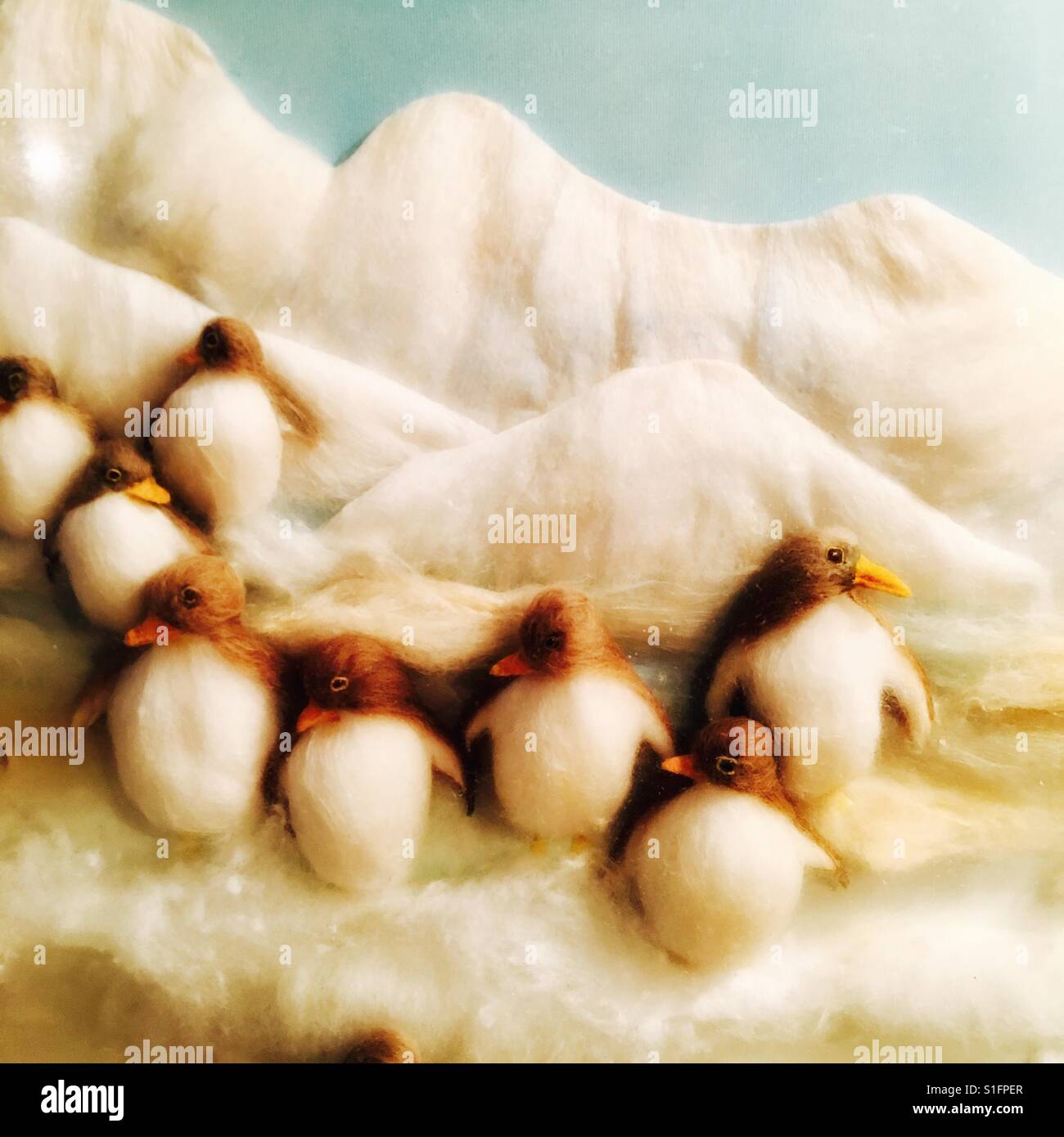 Pingouin hi-res stock photography and images - Alamy