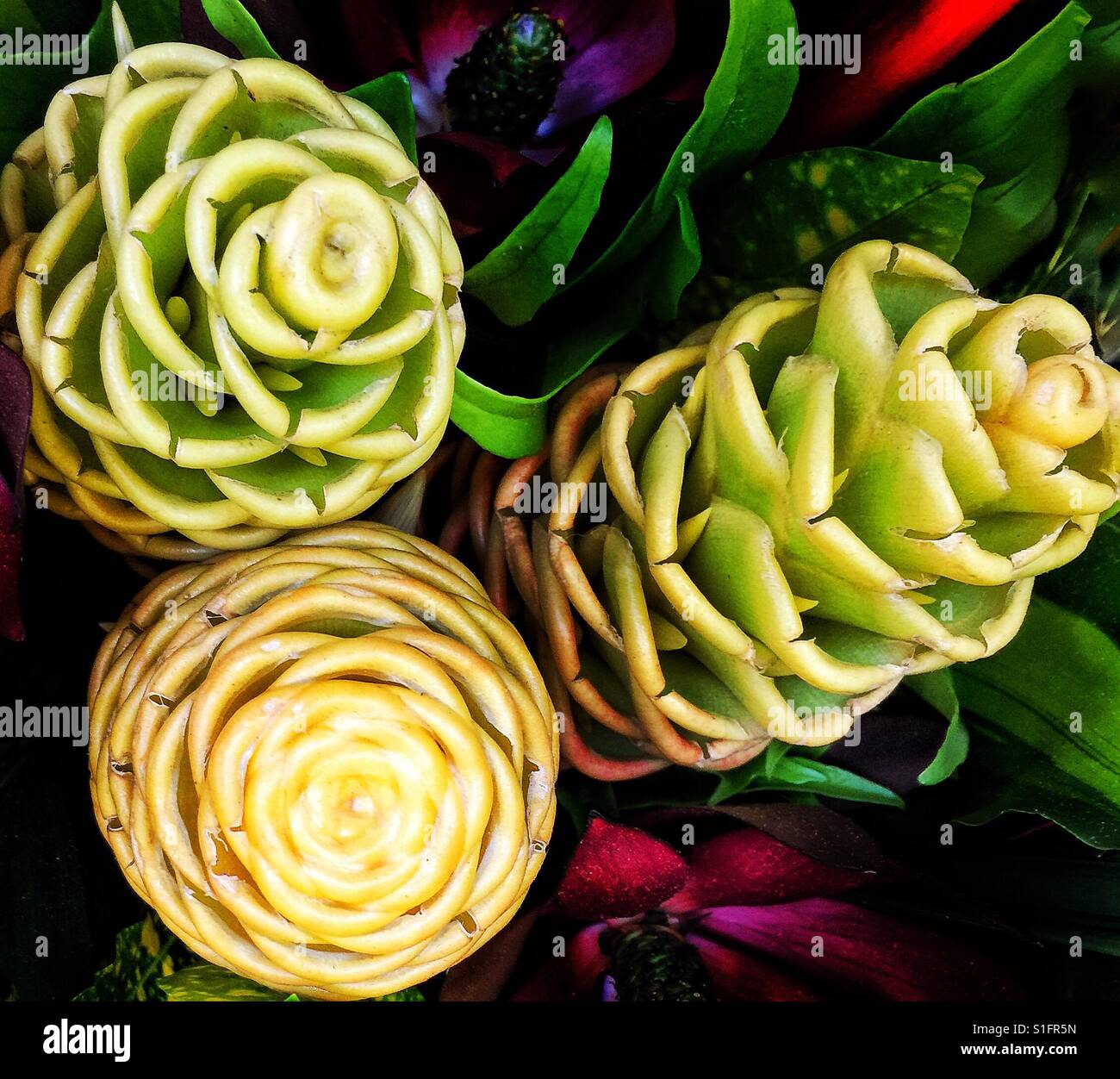 Ginger Stems High Resolution Stock Photography and Images - Alamy