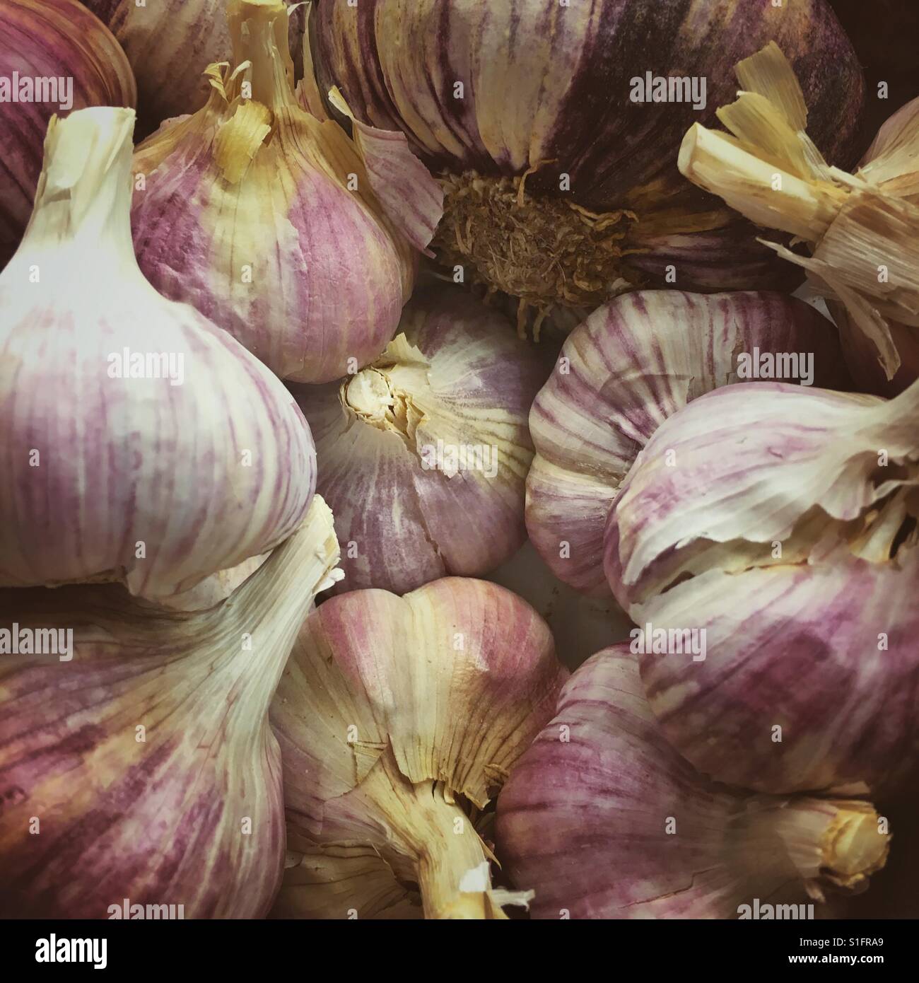 Pink garlic hi-res stock photography and images - Alamy