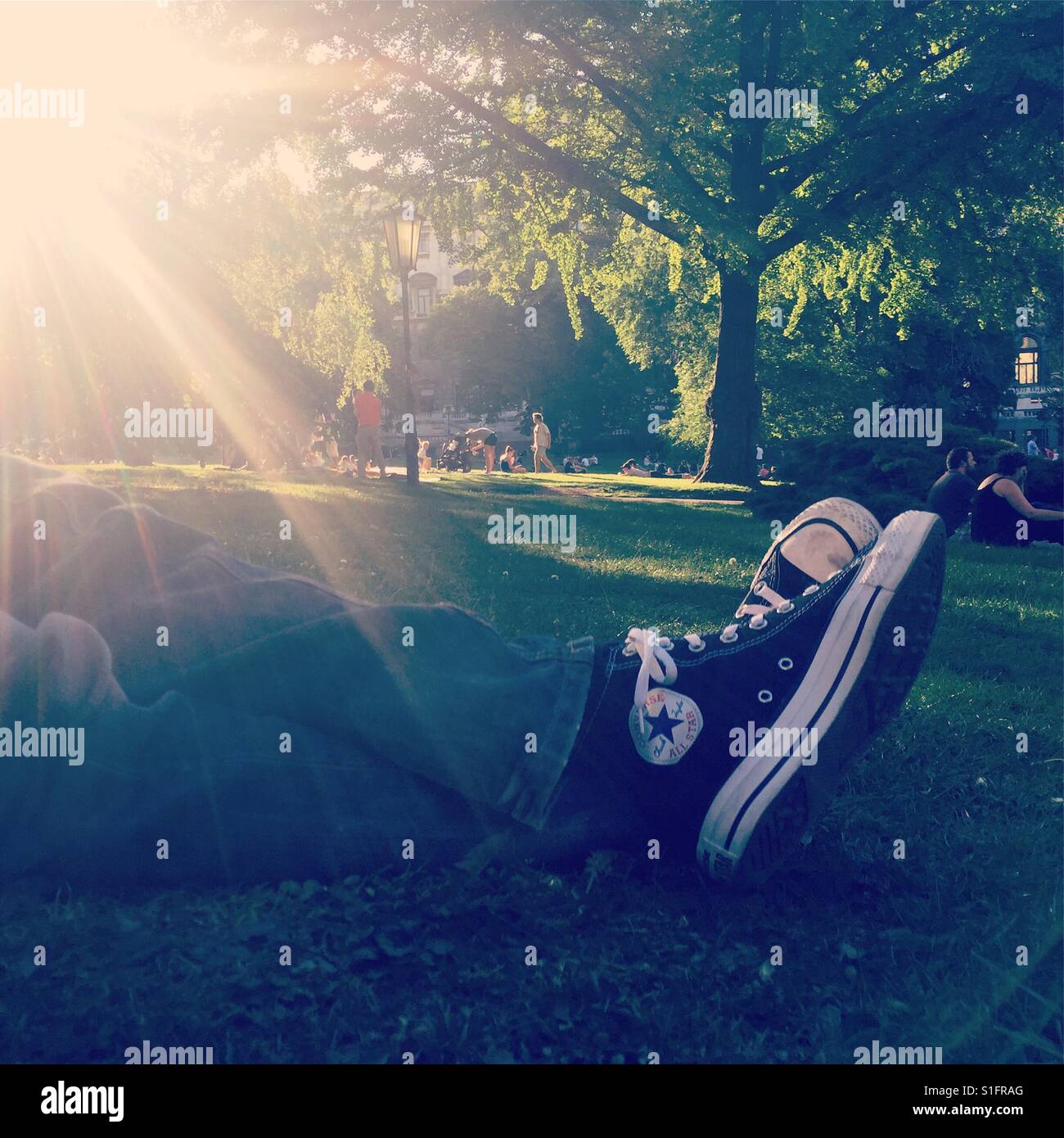 Relaxing afternoon in park Stock Photo - Alamy
