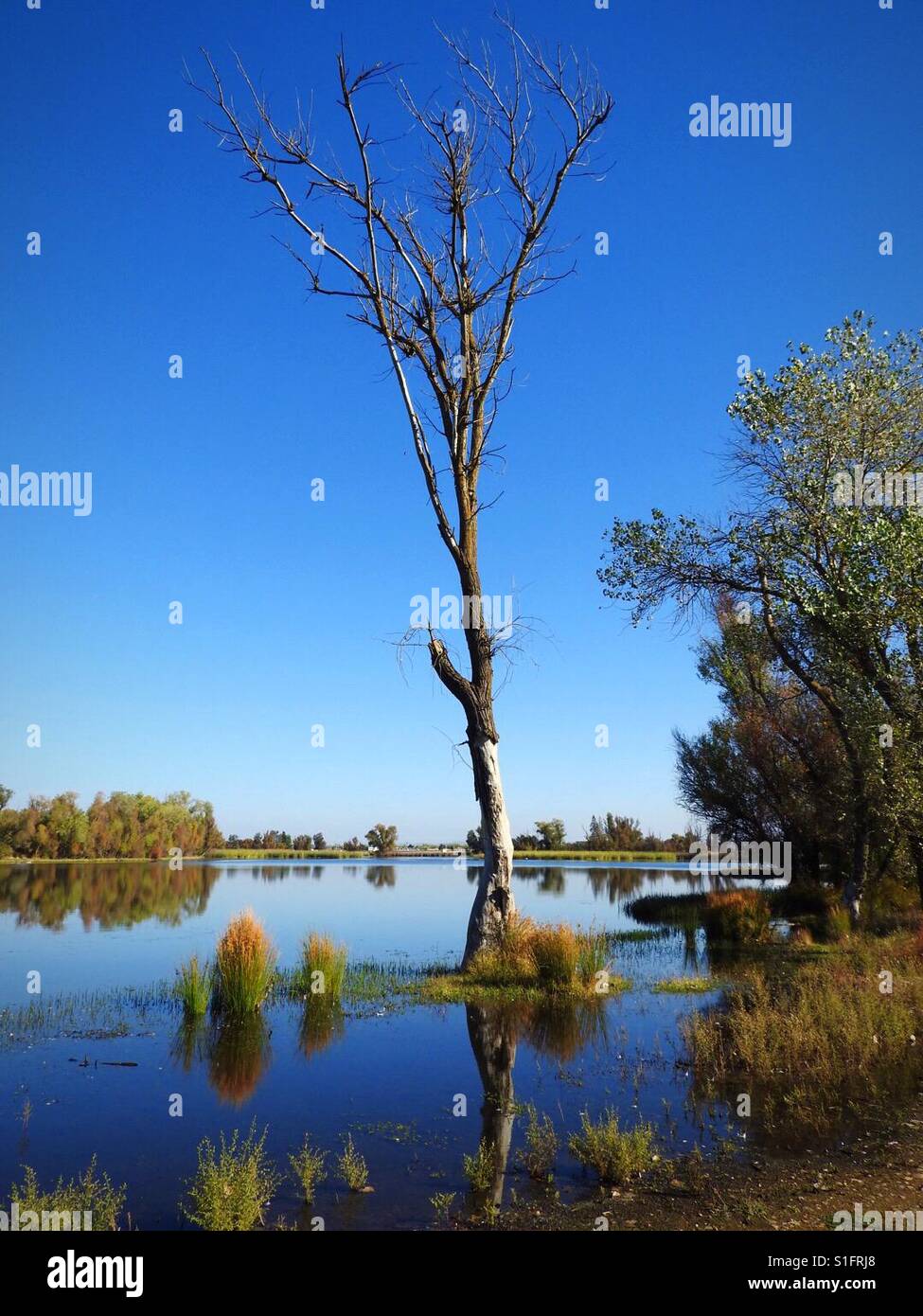 Mather lake hi-res stock photography and images - Alamy