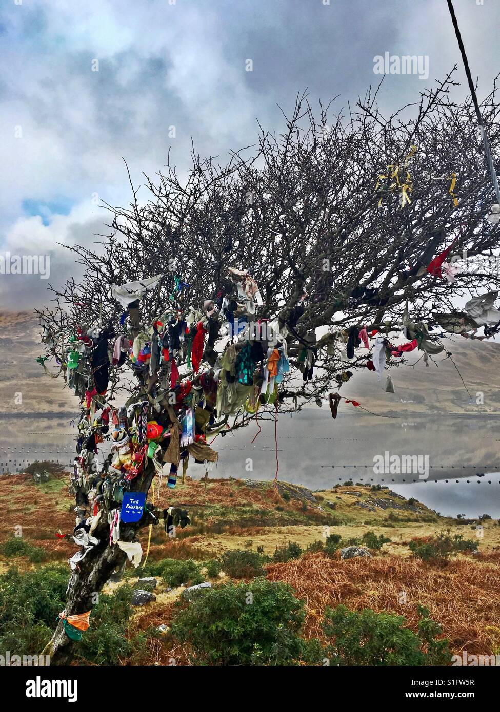 Fairy tree hi-res stock photography and images - Alamy