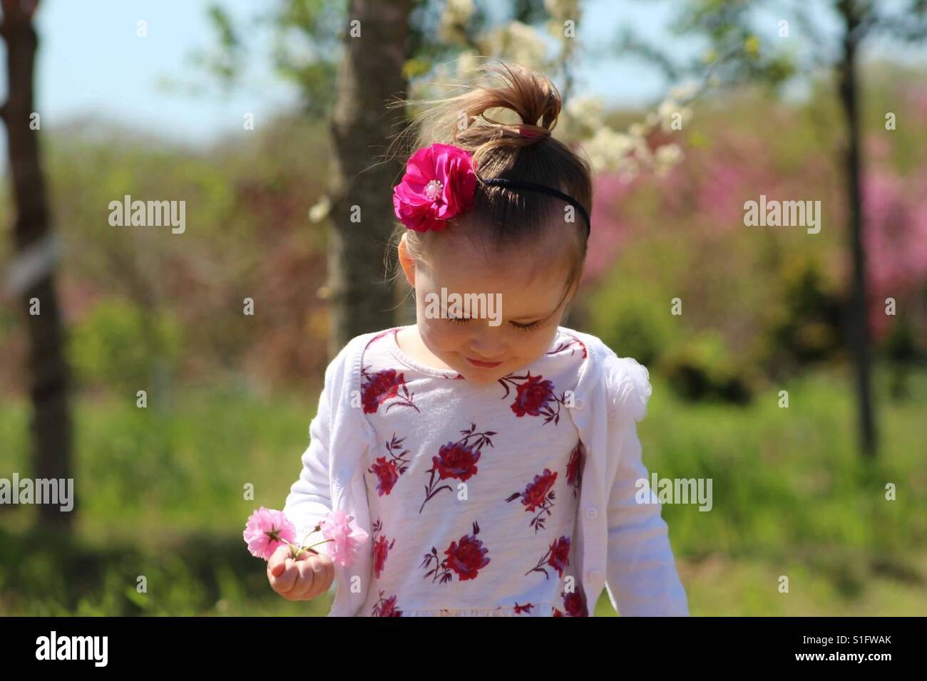 Favorite of flowers hi-res stock photography and images - Alamy