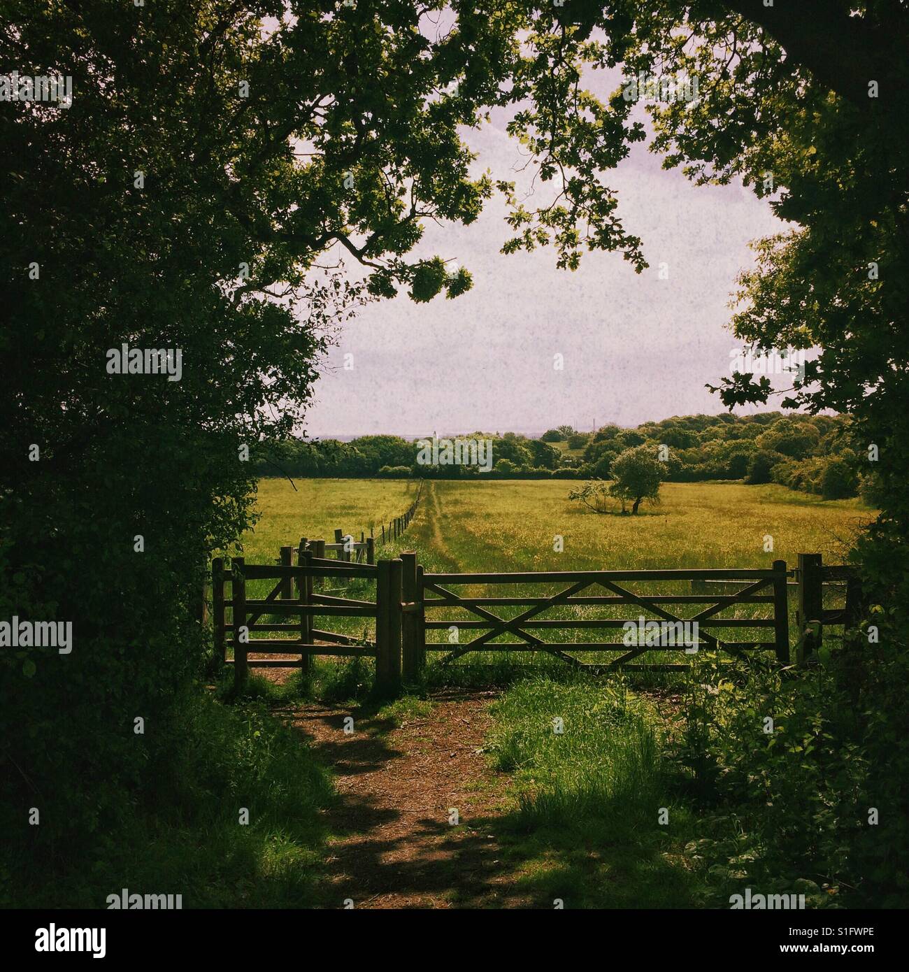 The gate to the meadow Stock Photo - Alamy
