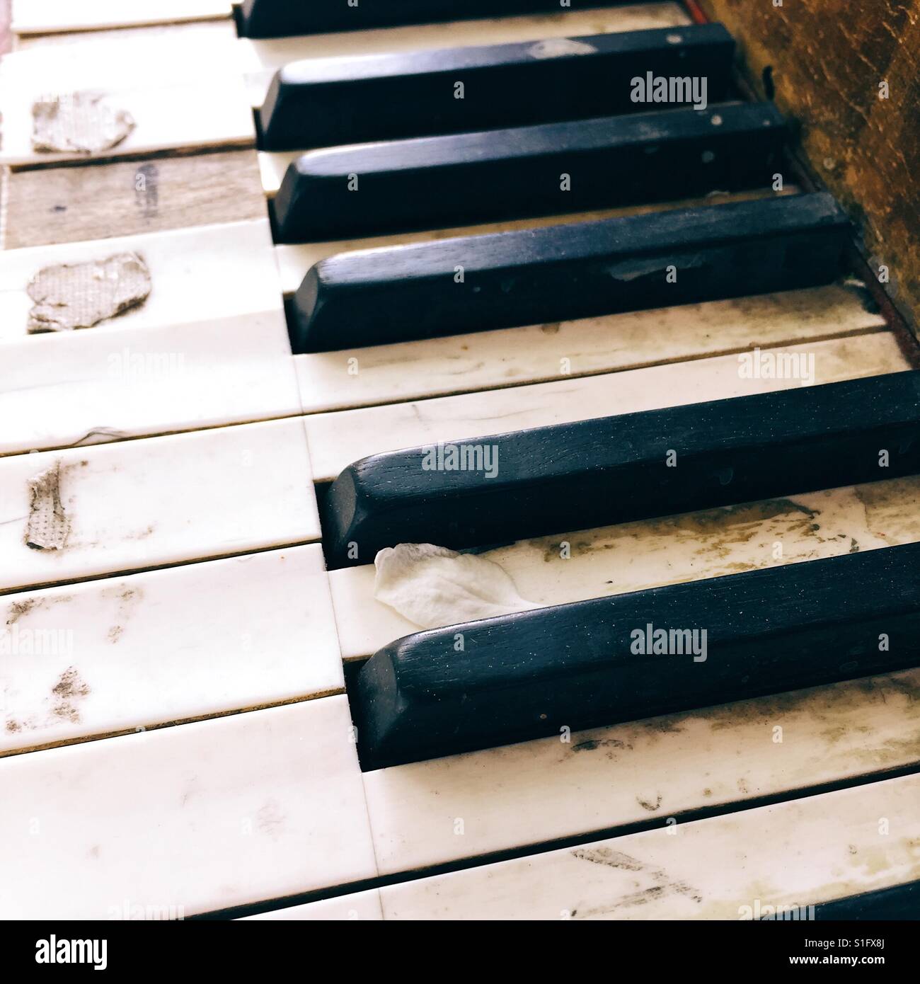 Closeup piano hi-res stock photography and images - Alamy