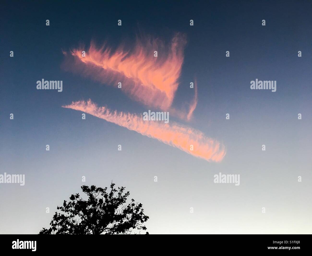Interesting cloud shapes hi-res stock photography and images - Alamy