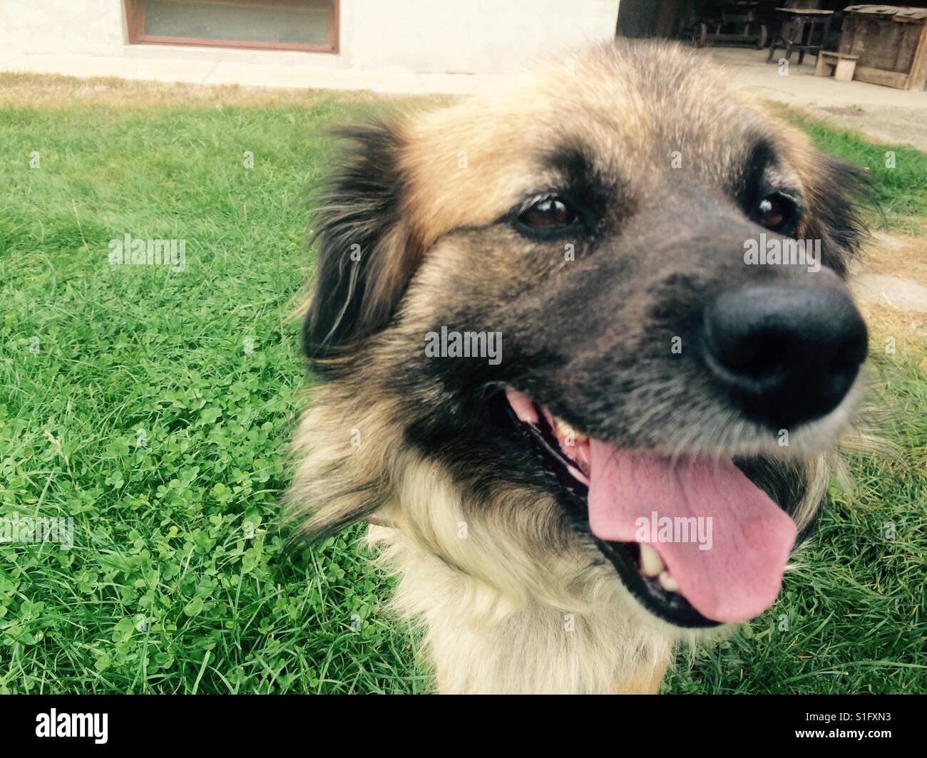 Havo hi-res stock photography and images - Alamy