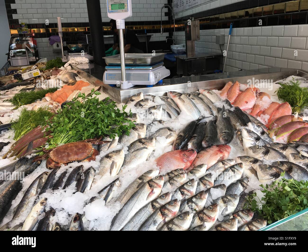 Salmon fishmonger hi-res stock photography and images - Alamy