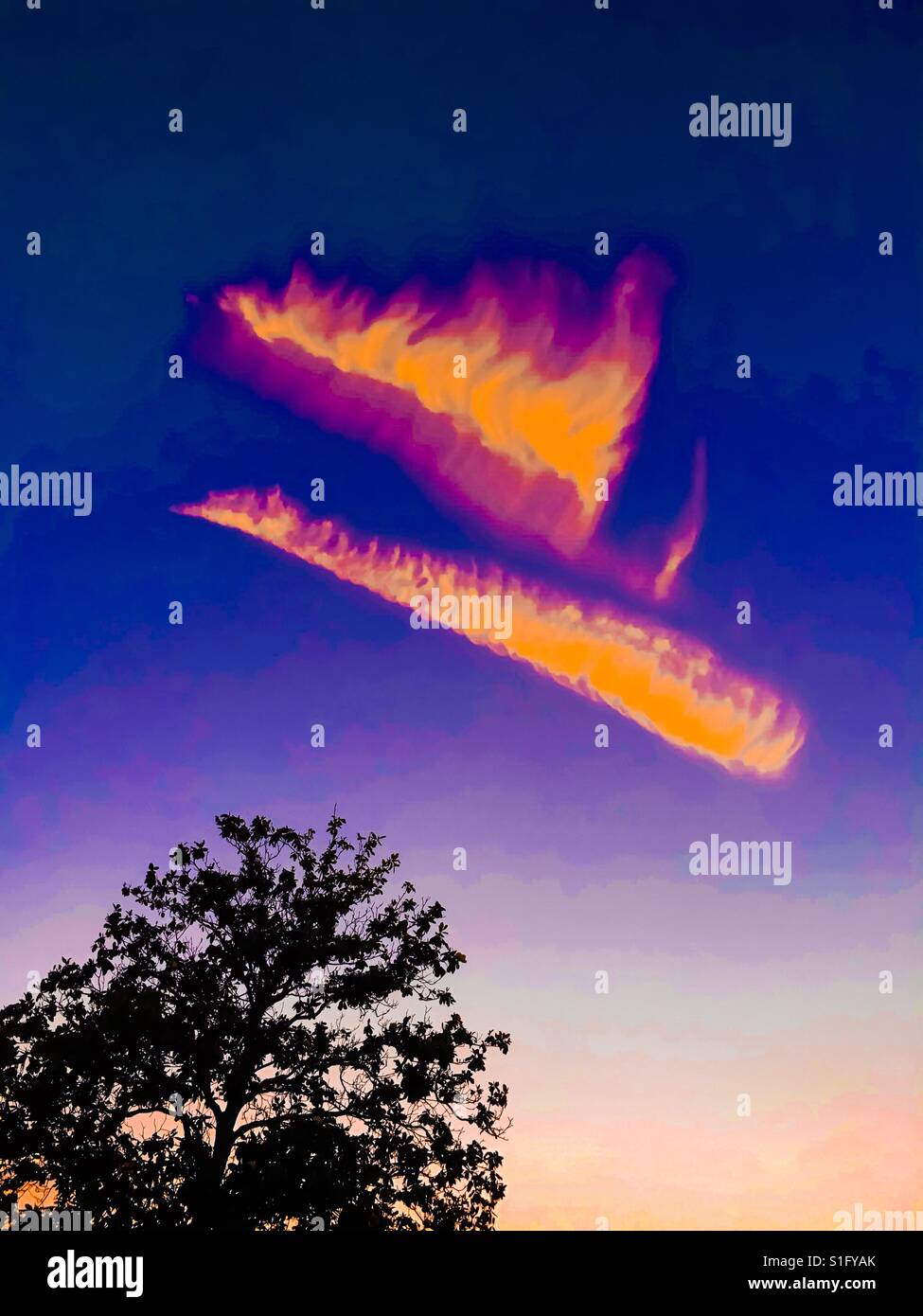 Fire in the sky alien hi-res stock photography and images - Alamy