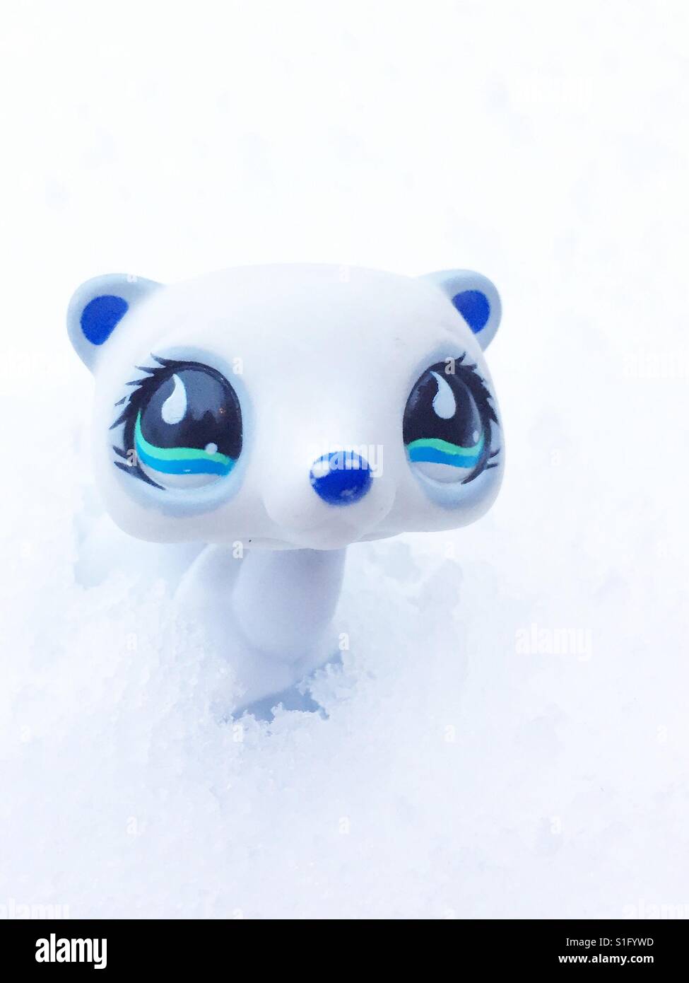 Cute weasel in snow Stock Photo - Alamy