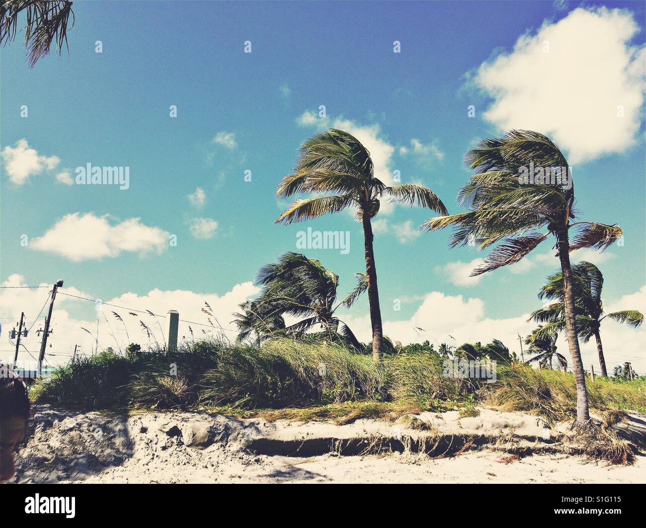 Windy beach day hi-res stock photography and images - Alamy