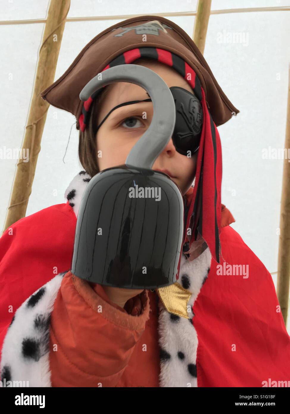 Captain Hook Stock Photos & Captain Hook Stock Images - Alamy