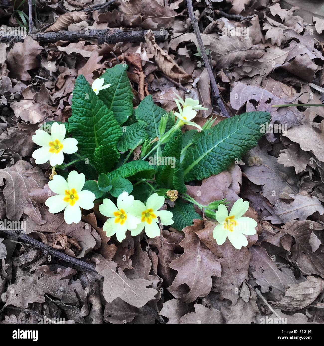 Spring Is On Its Way