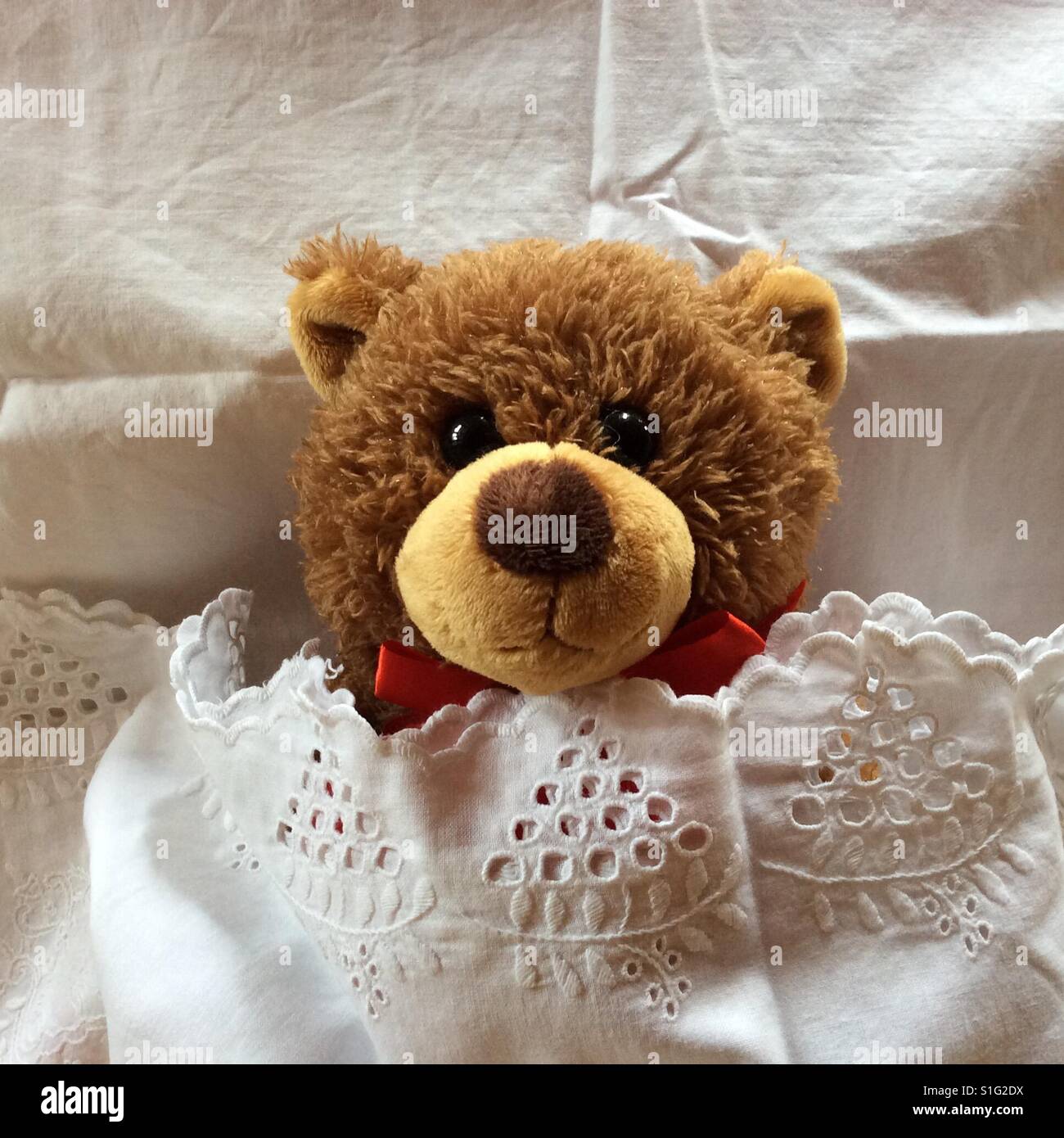 Bear in bed hi-res stock photography and images - Alamy