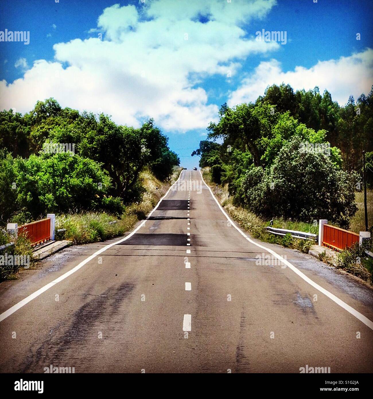 Straight road with trees on both sides and sky with clouds Stock Photo ...
