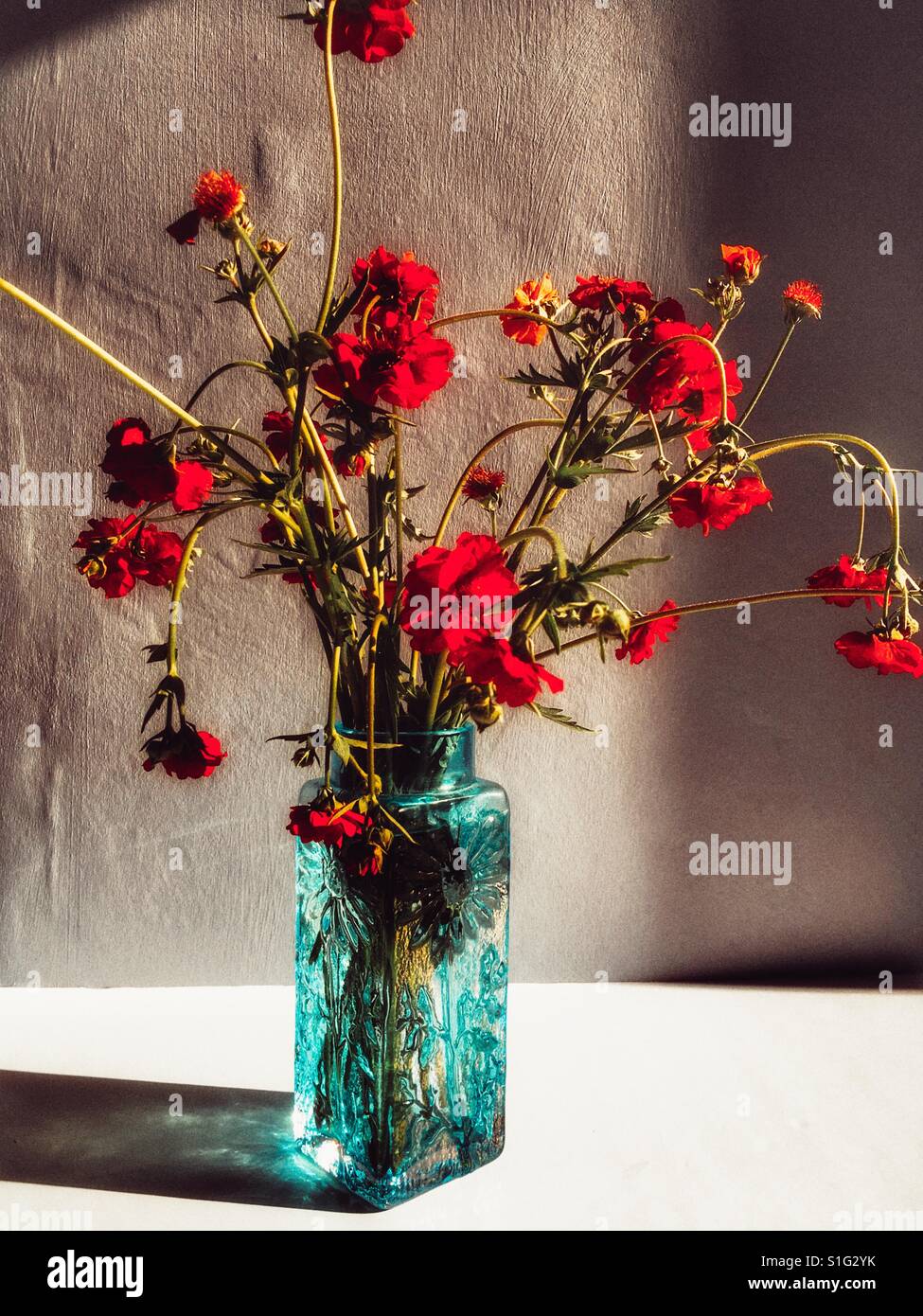 Dropping flowers in vase Stock Photo - Alamy