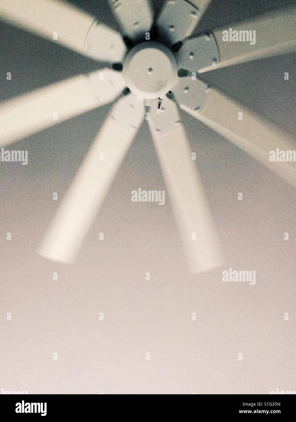 Ceiling fan in motion Stock Photo - Alamy