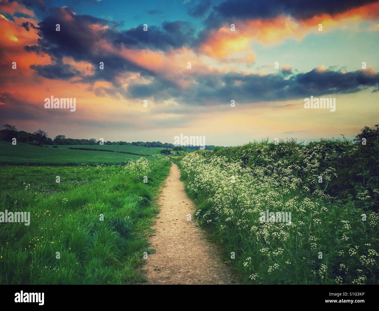 Path at sunset hi-res stock photography and images - Alamy