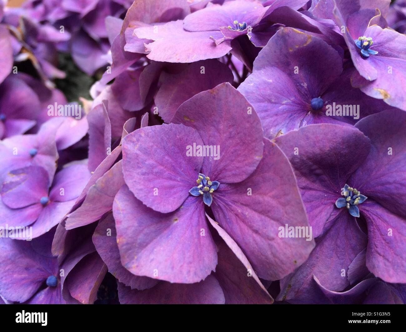 Ocean electric hi-res stock photography and images - Alamy