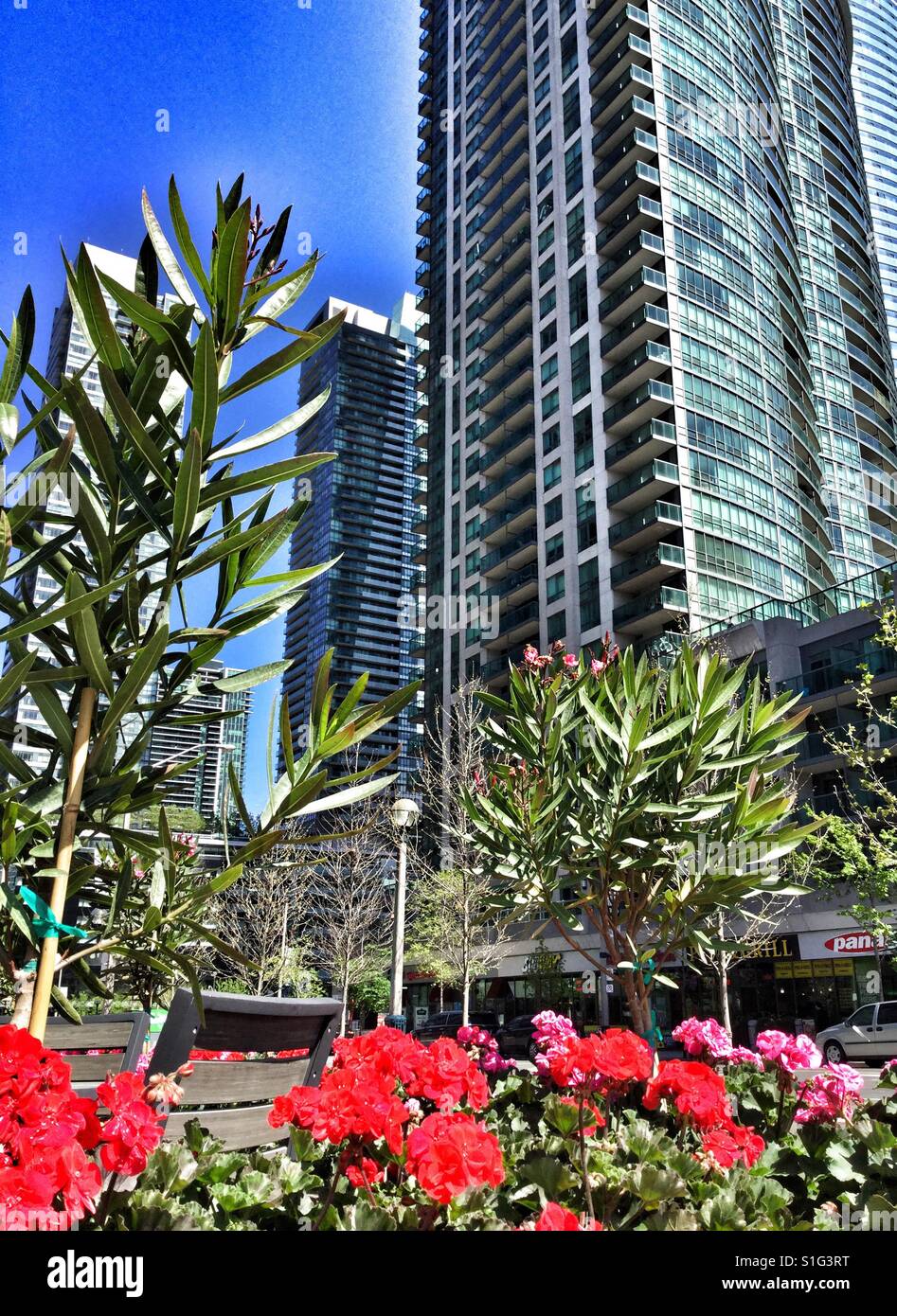 Downtown living in Toronto, Canada Stock Photo - Alamy