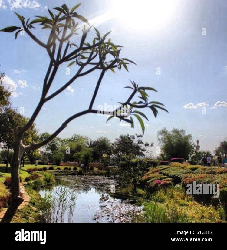 Al azhar park garden hi-res stock photography and images - Alamy
