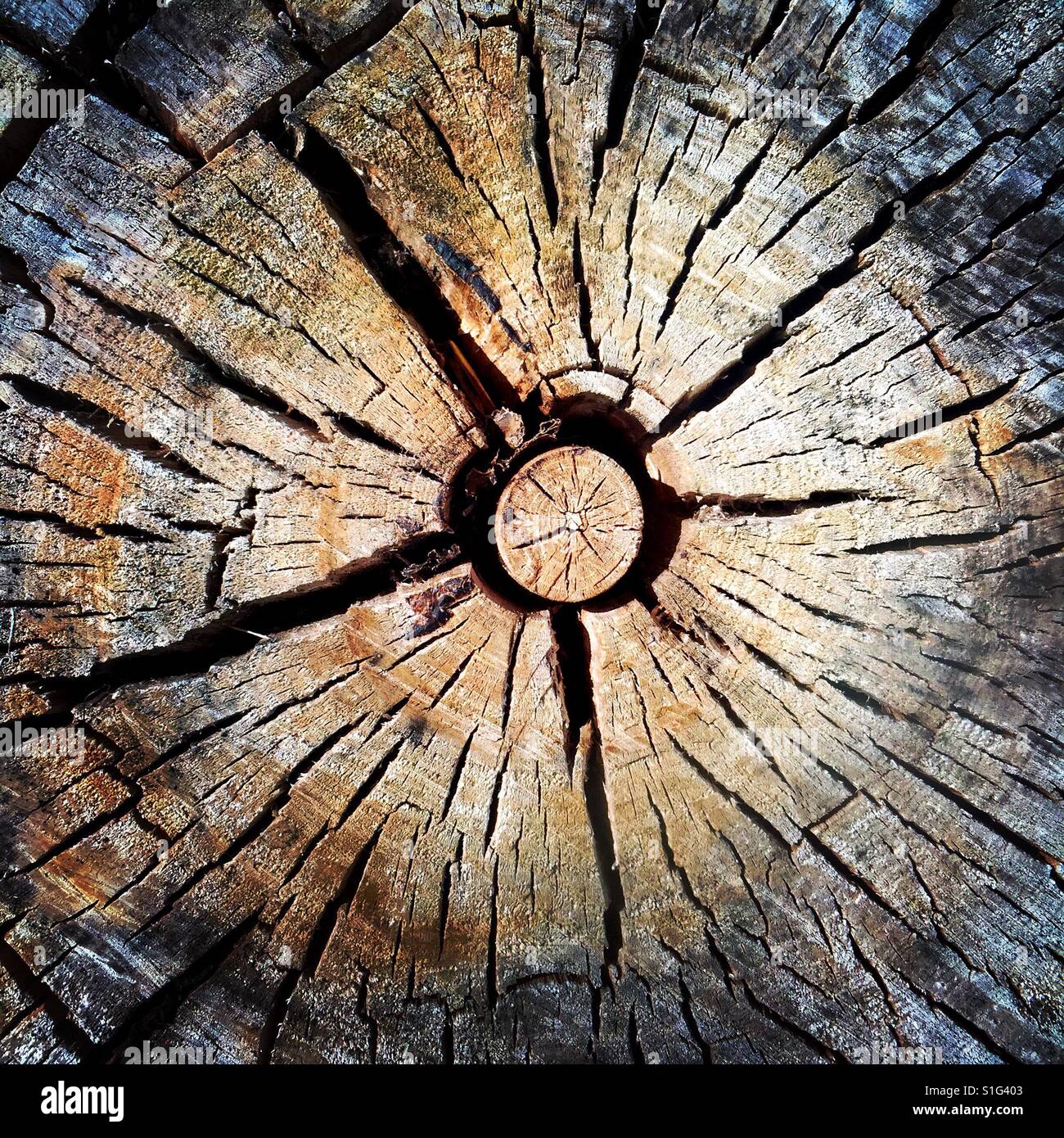 Wood grain backgrounds hi-res stock photography and images - Alamy