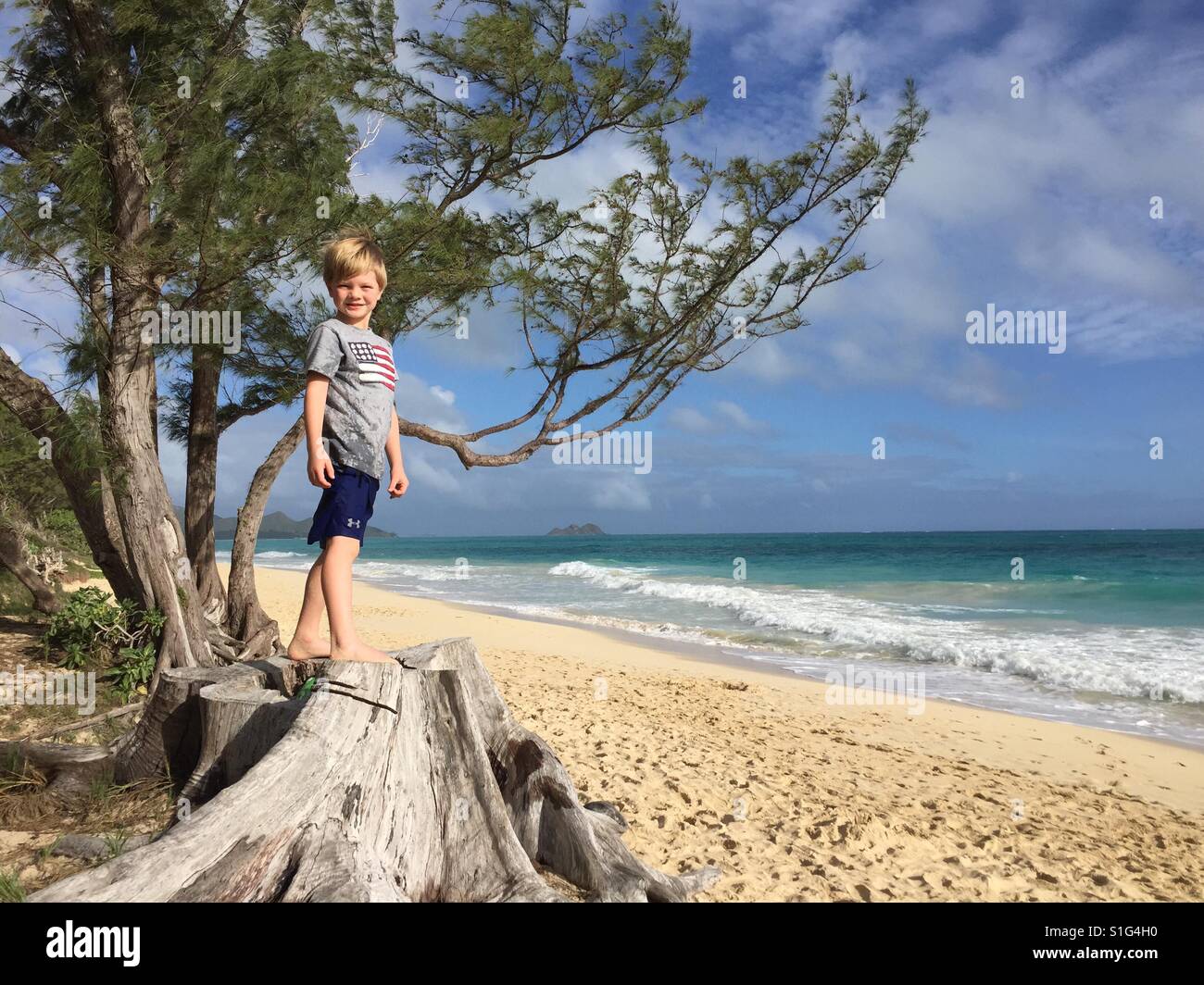King of the stump Stock Photo - Alamy