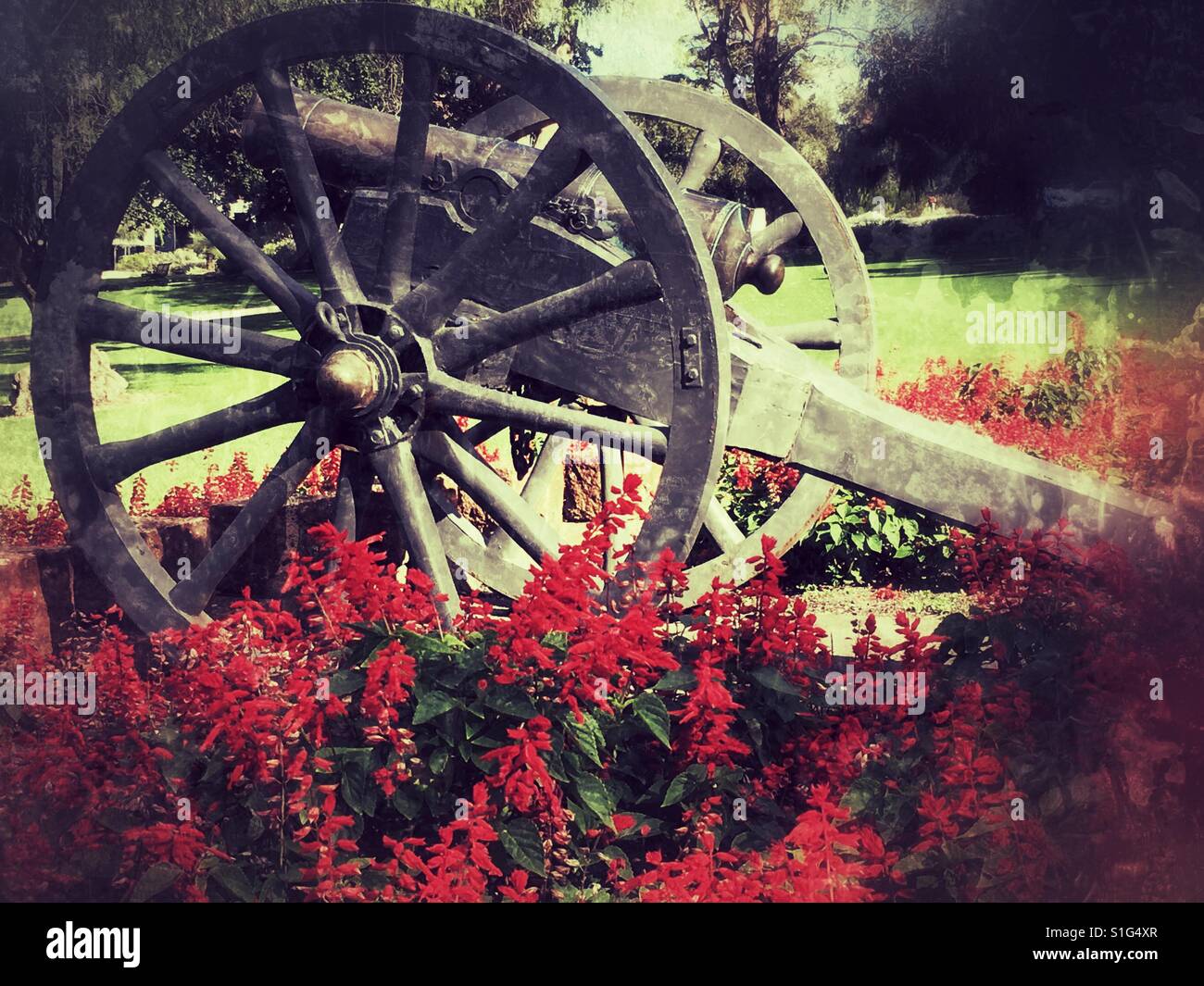 Red cannon hi-res stock photography and images - Alamy
