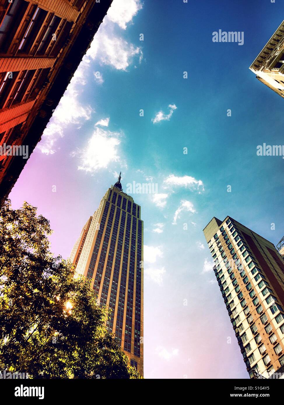 Looking up at the Empire State building with tree in foreground, New ...