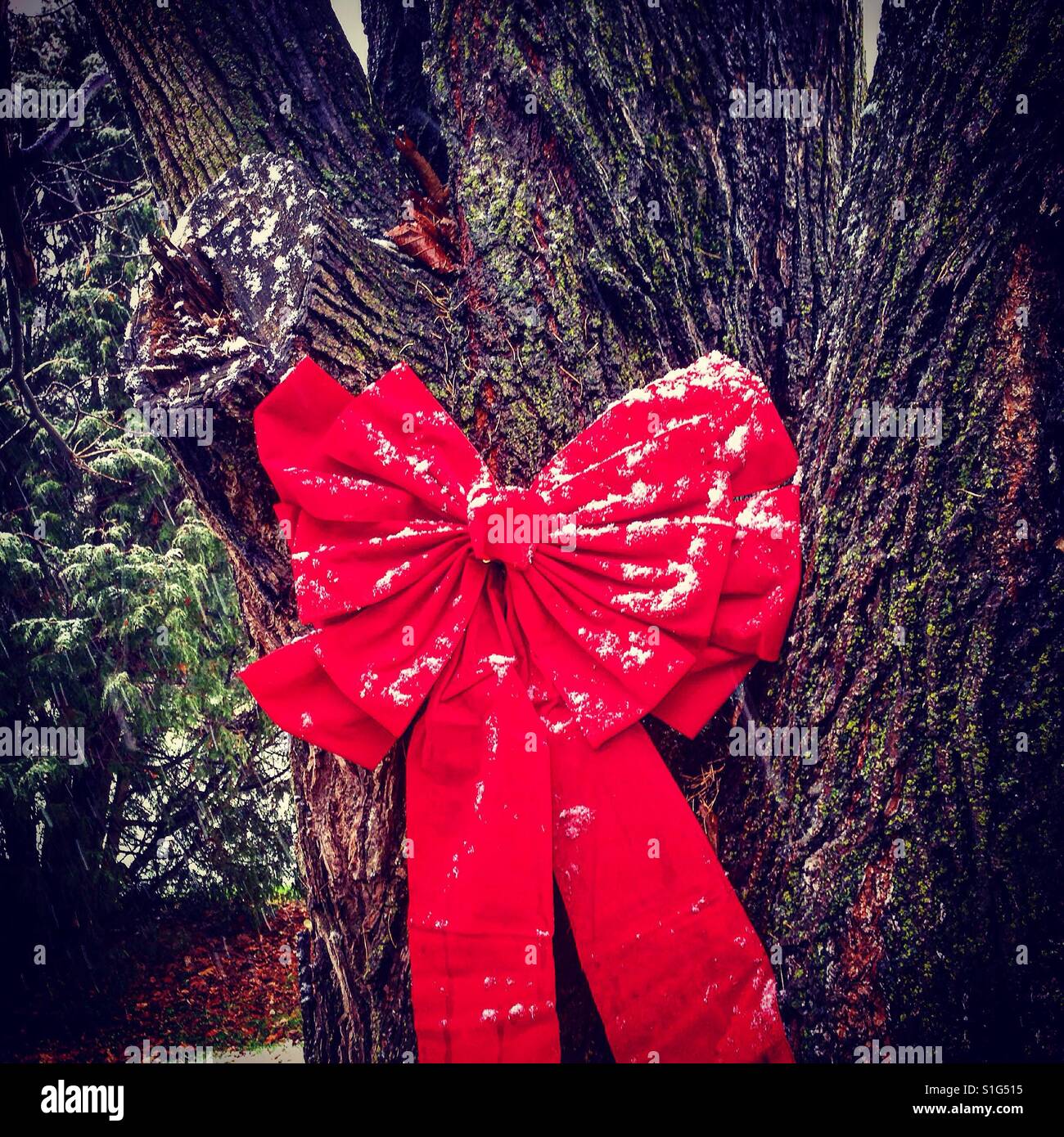 Spirit bow hi-res stock photography and images - Alamy