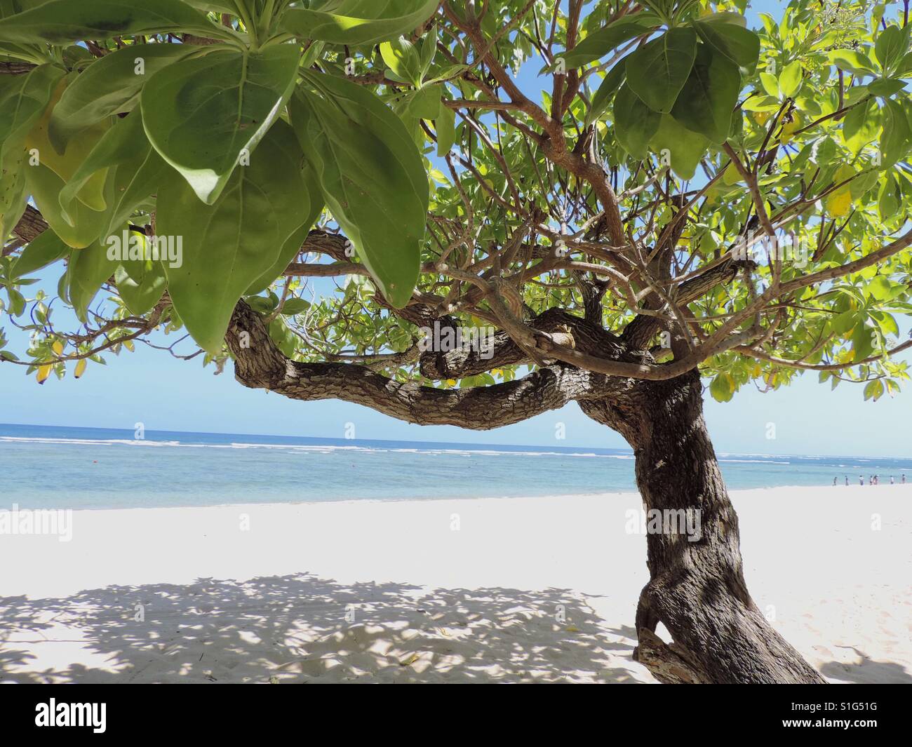 Sun and sand fun hi-res stock photography and images - Alamy