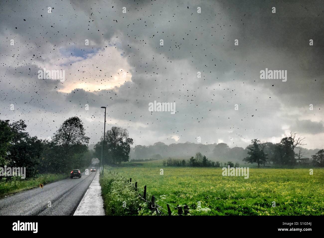 Rain in summer countryside hi-res stock photography and images - Alamy