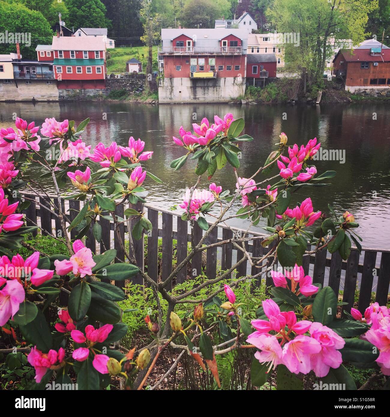 Bridge flowers massachusetts hi-res stock photography and images - Alamy