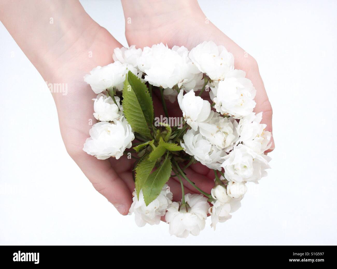 Handful flowers hi-res stock photography and images - Alamy