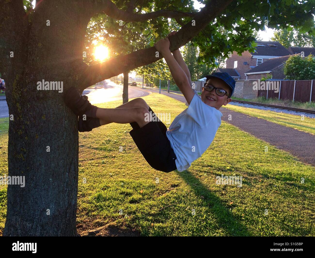 Boy climbing tree Stock Photo - Alamy