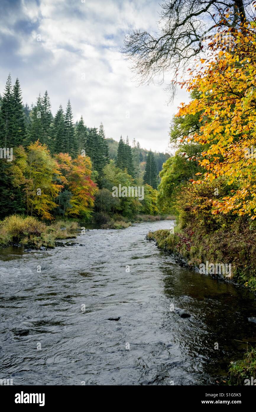 Tweed water hi-res stock photography and images - Alamy