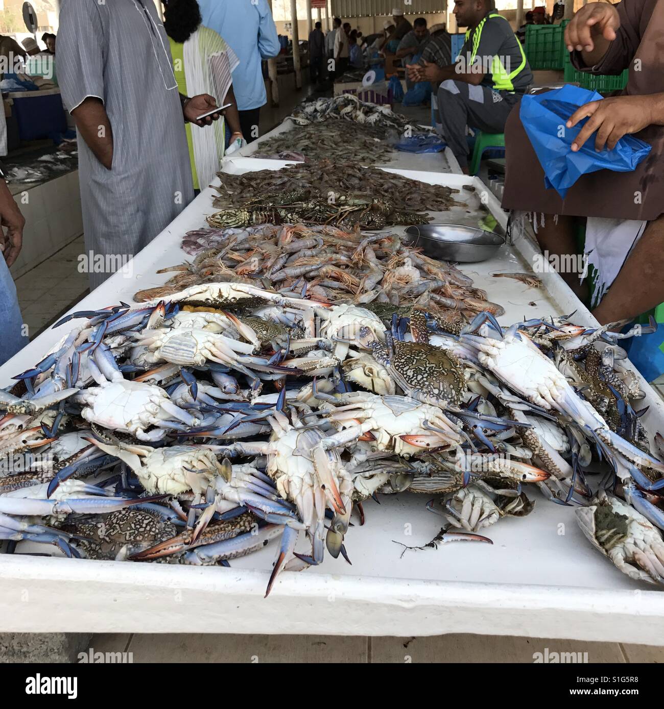 Fish market with seafood in display Stock Photo - Alamy